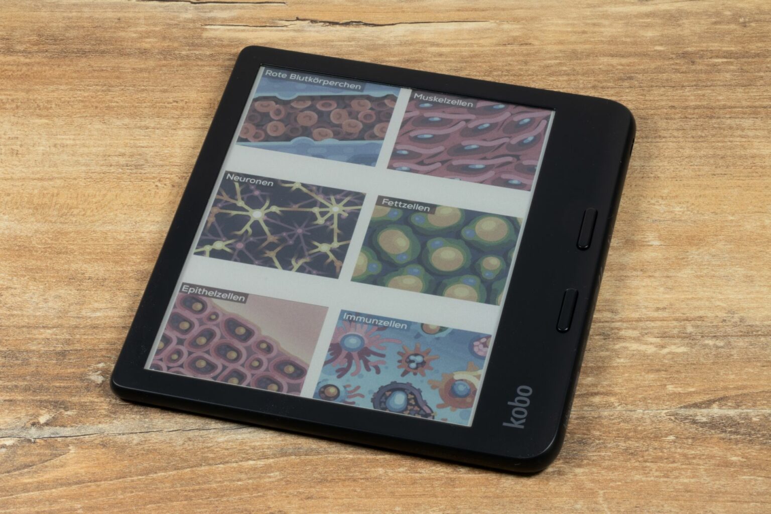 Der neue Kobo Libra Colour im Test • PAPIERLOS LESEN