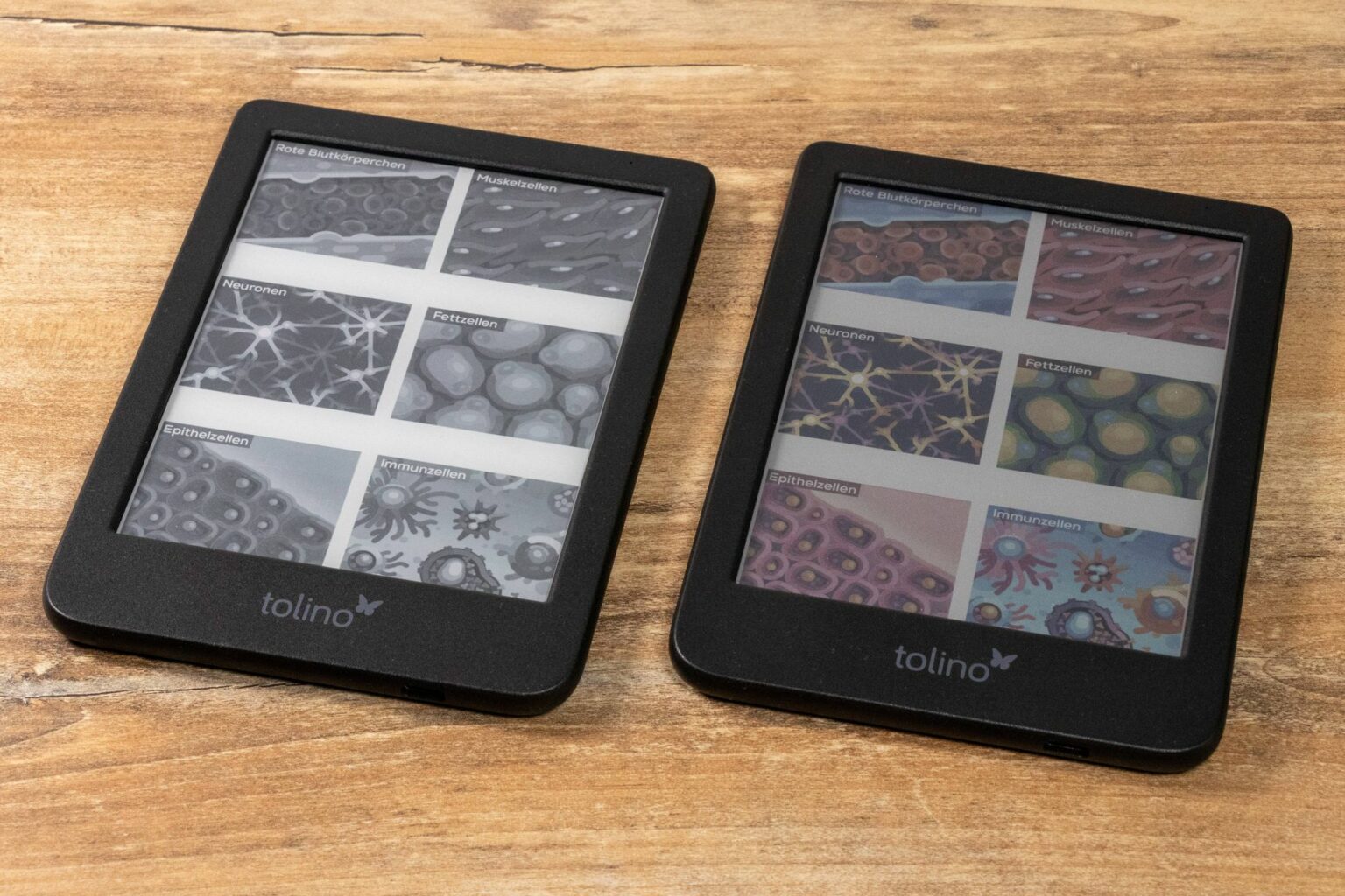 Tolino Shine 5 und Tolino Shine Color im ausführlichen Test